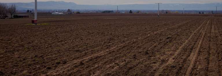 Environment - Superfresh Growers