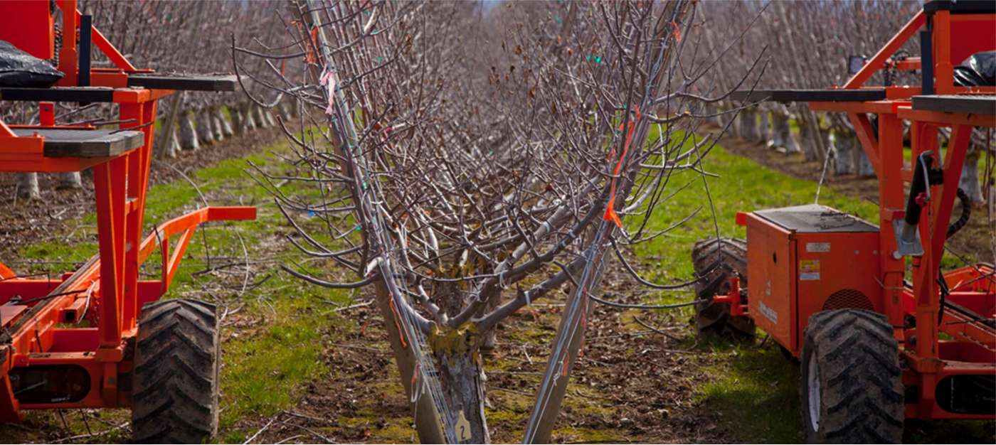 About Us - Superfresh Growers