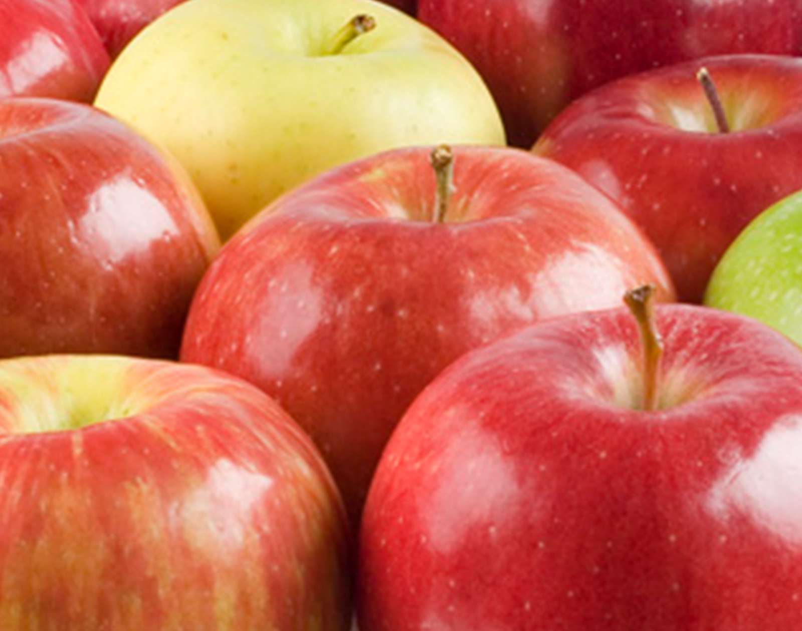 Frequently Asked Questions - Superfresh Growers