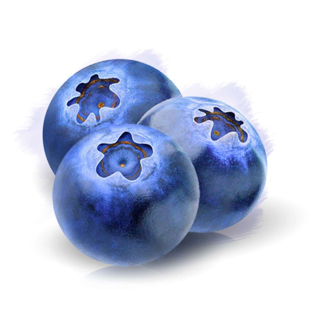 Blueberries - Superfresh Growers