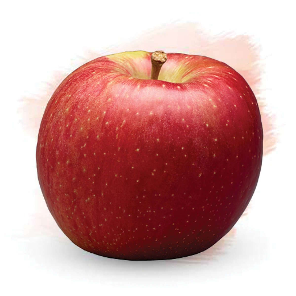 EverCrisp® - Superfresh Growers