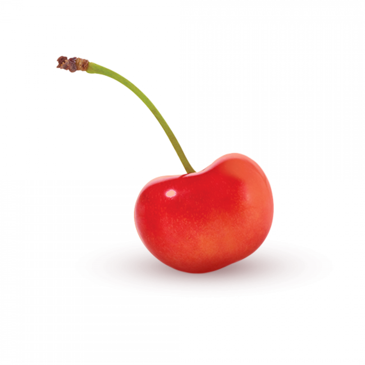 Dark Sweet Cherries - Superfresh Growers