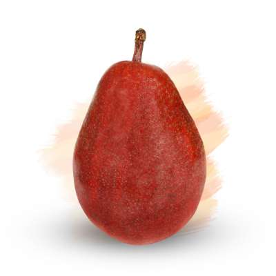 Red Anjou - Superfresh Growers