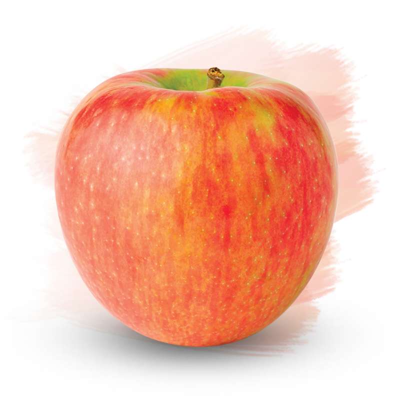 Honeycrisp - Superfresh Growers