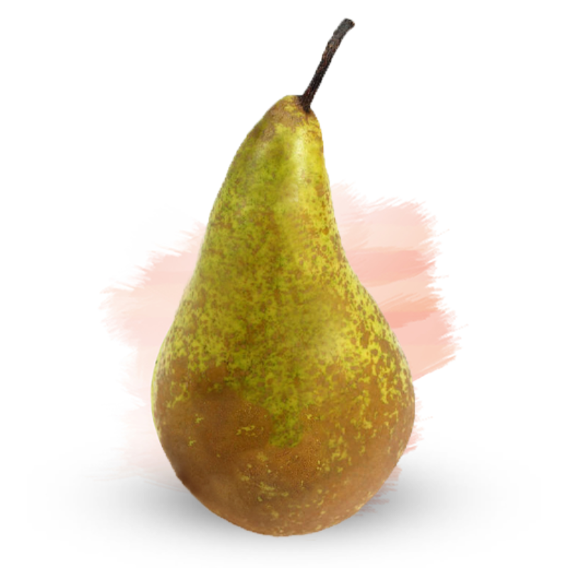 Conference pear - Superfresh Growers