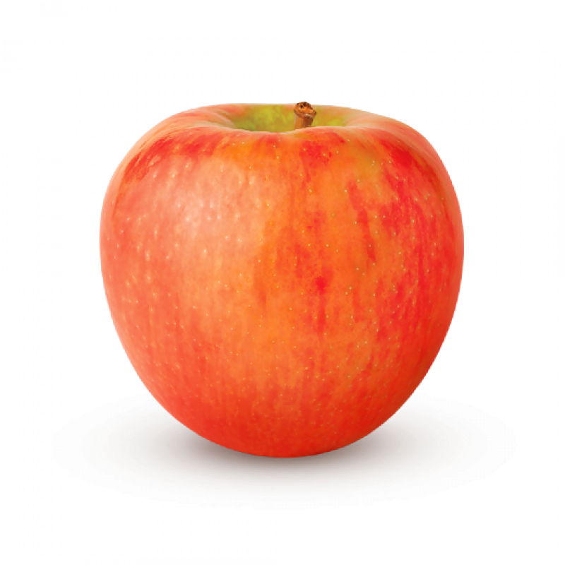 Our Fruit - Superfresh Growers