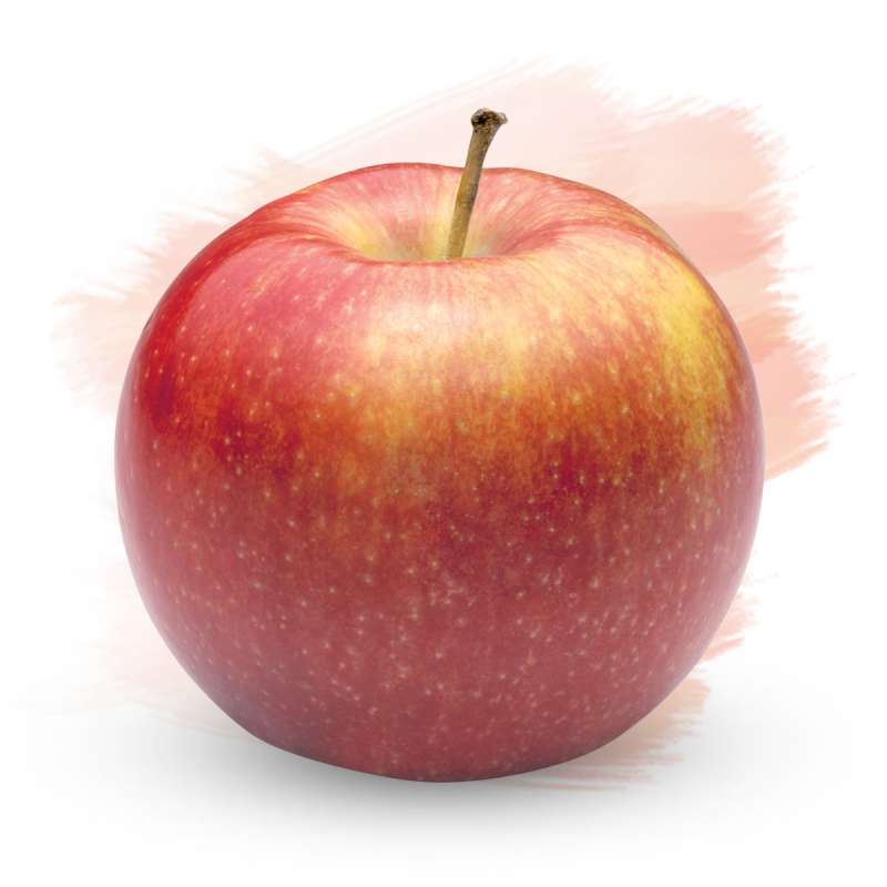 Jonagold - Superfresh Growers