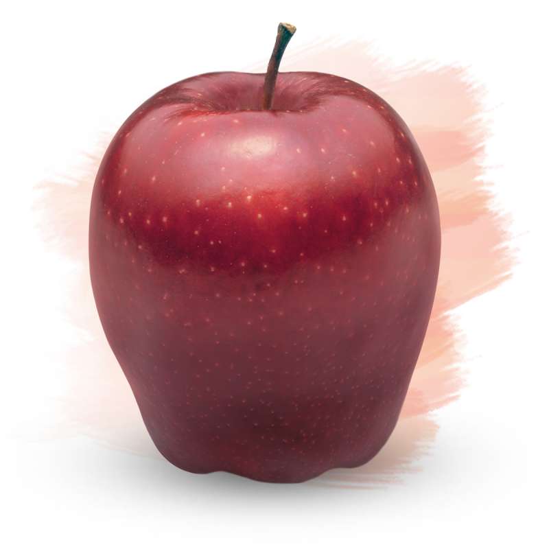 Red Delicious - Superfresh Growers