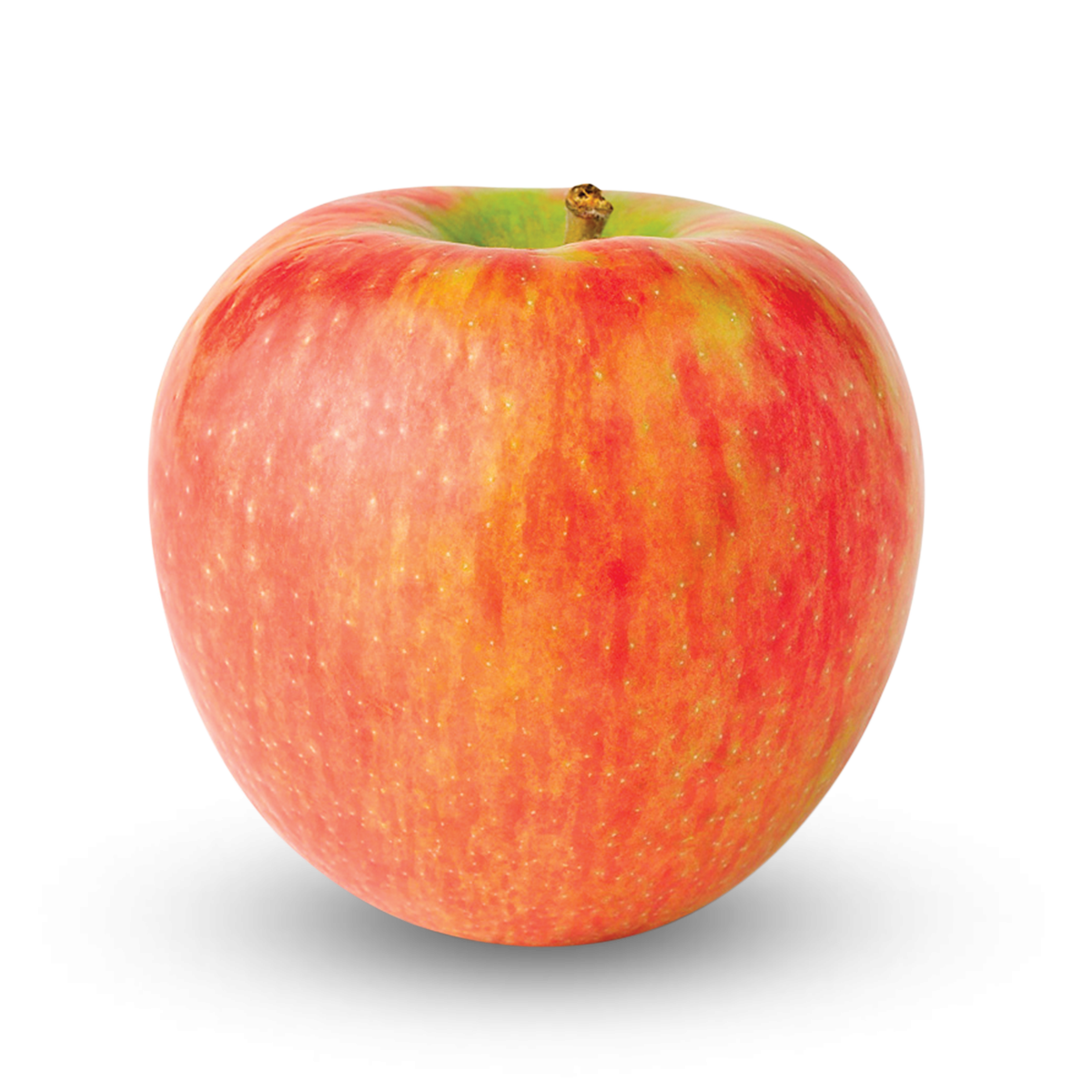 Honeycrisp - Superfresh Growers