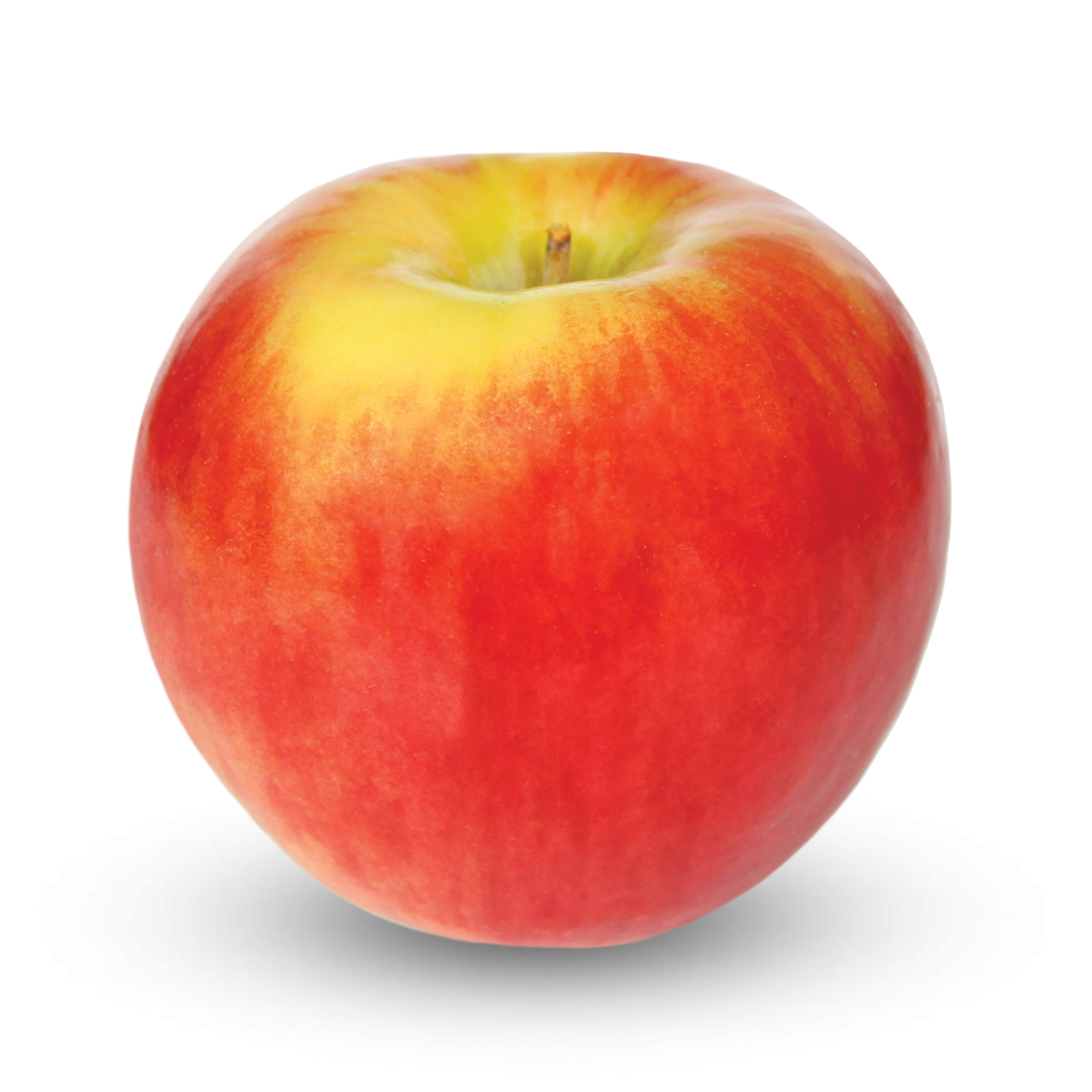 Autumn Glory® - Superfresh Growers