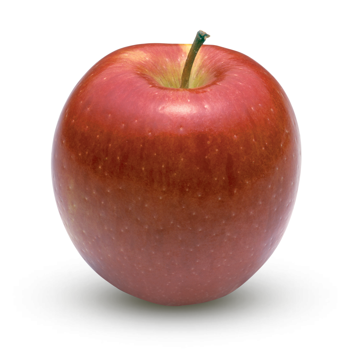 EverCrisp® - Superfresh Growers