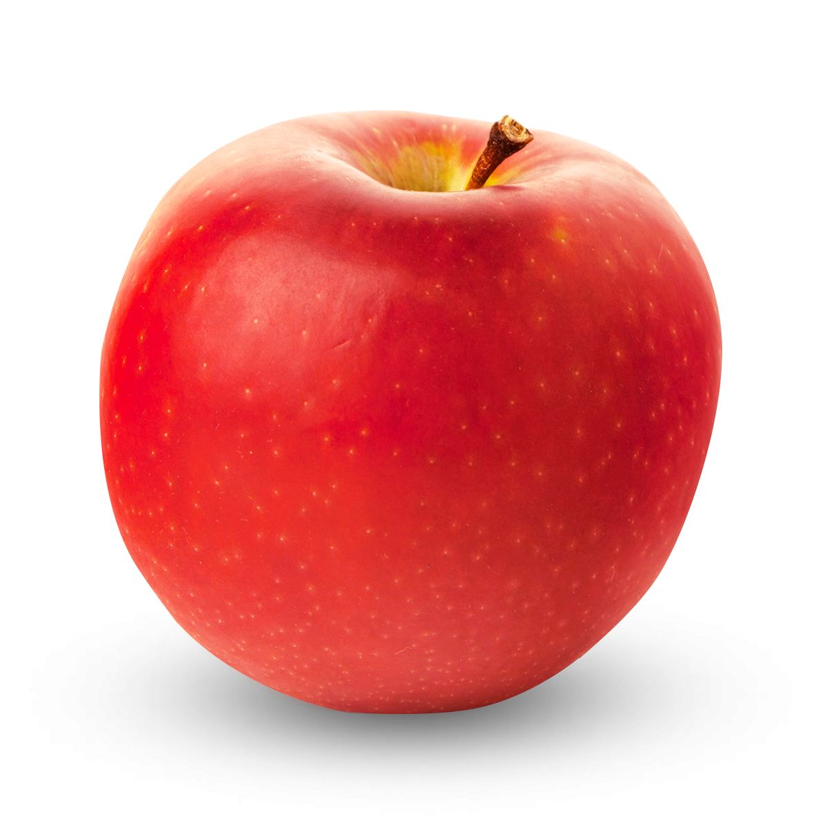 Dark Sweet Cherries - Superfresh Growers