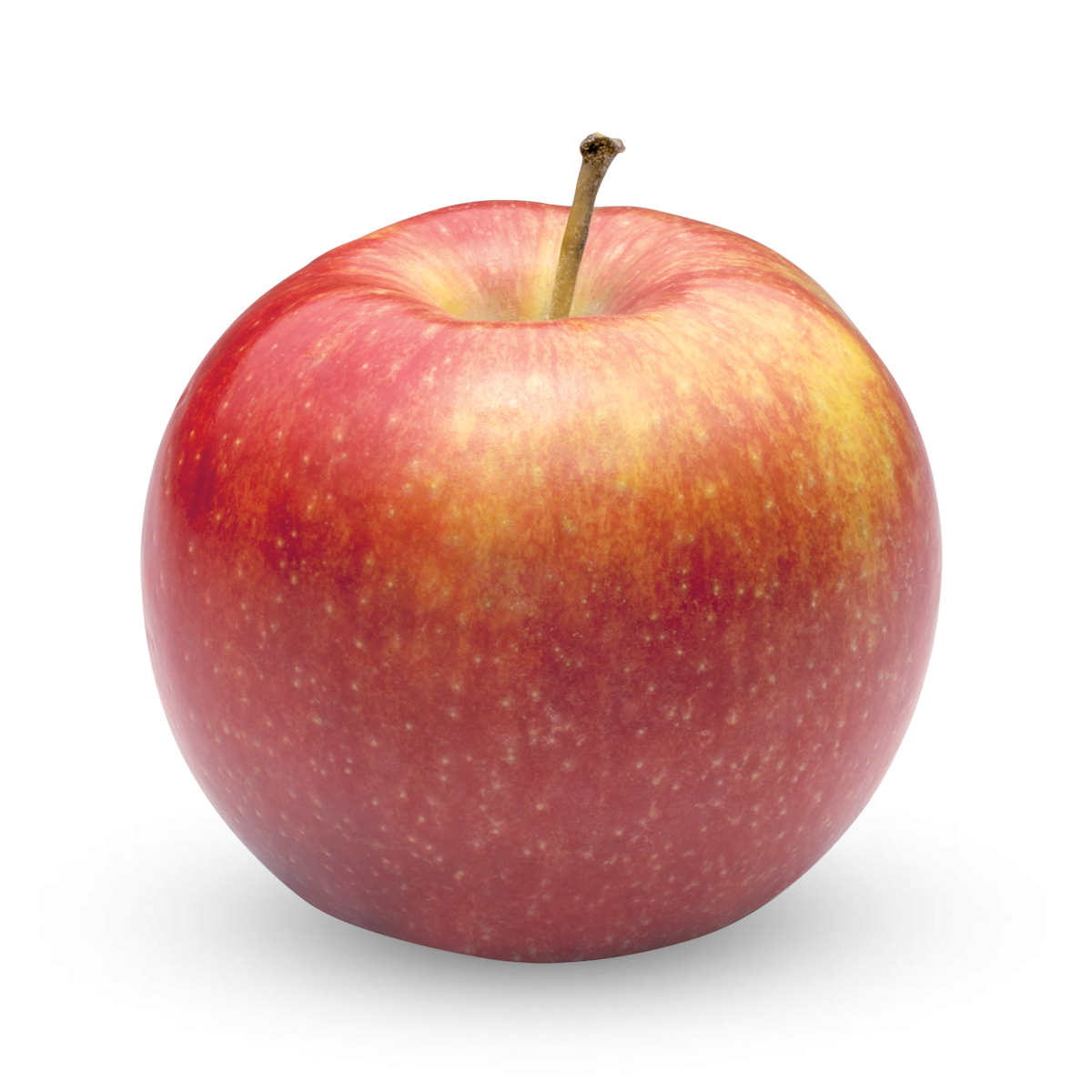 Bosc - Superfresh Growers