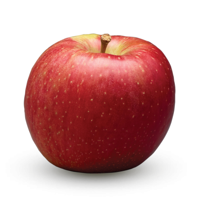 Anjou - Superfresh Growers