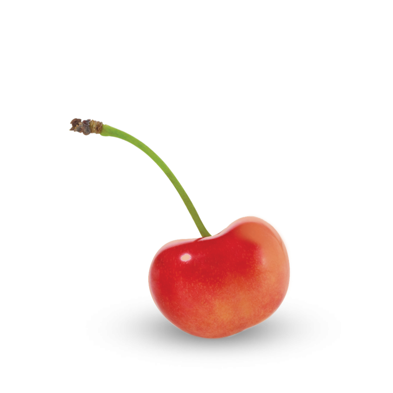 Our Fruit - Superfresh Growers