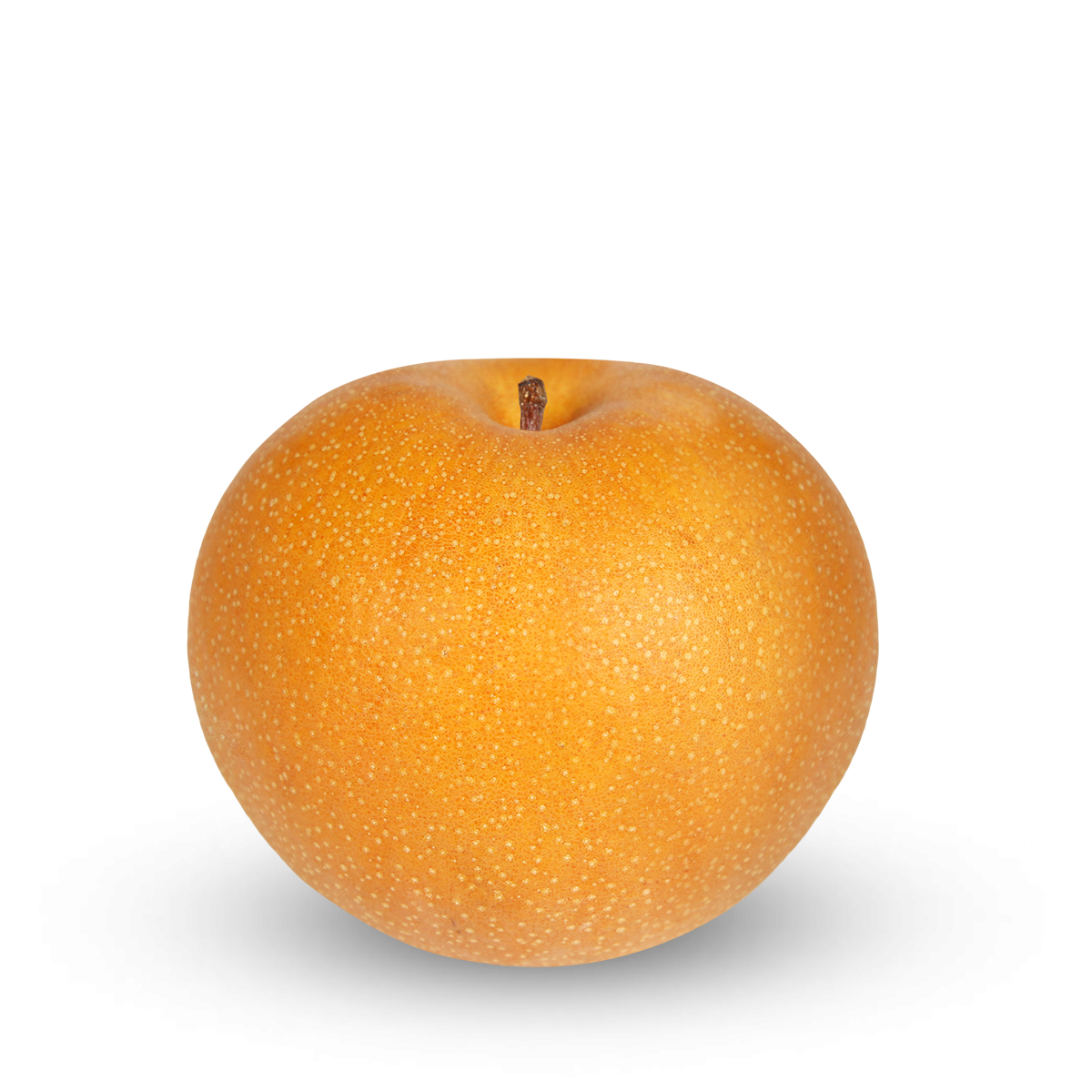 Our Fruit - Superfresh Growers