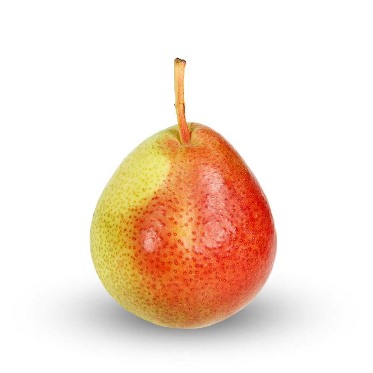 Our Fruit - Superfresh Growers