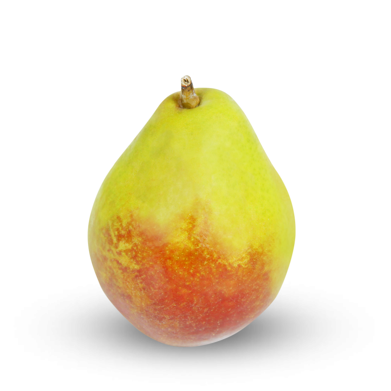 Our Fruit - Superfresh Growers