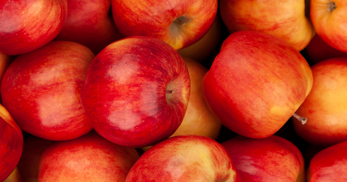 Autumn Glory Apples & Sunflower Seed Dip - Superfresh Growers
