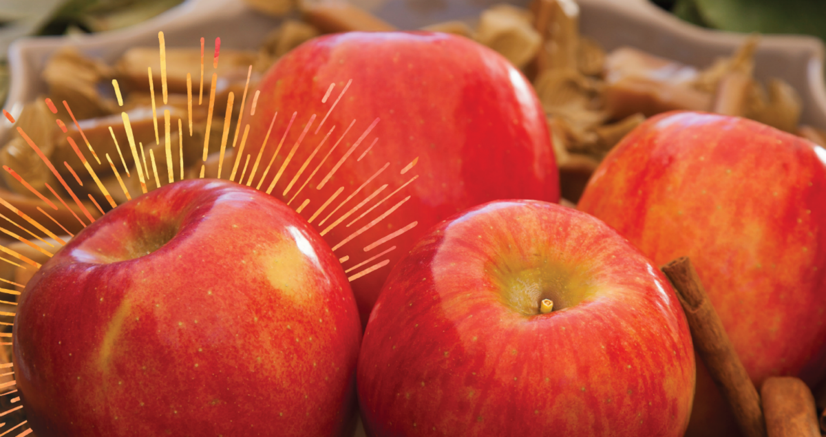 Autumn Glory Apple Outpacing Other Apples - Superfresh Growers