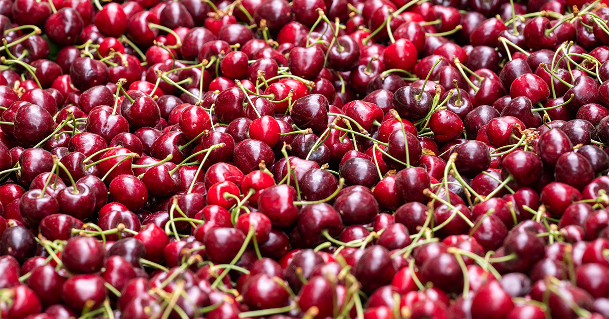 Dark Sweet Cherries - Superfresh Growers