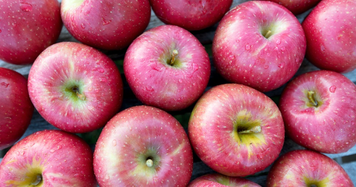 EverCrisp a Rising Star in 2023 - Superfresh Growers