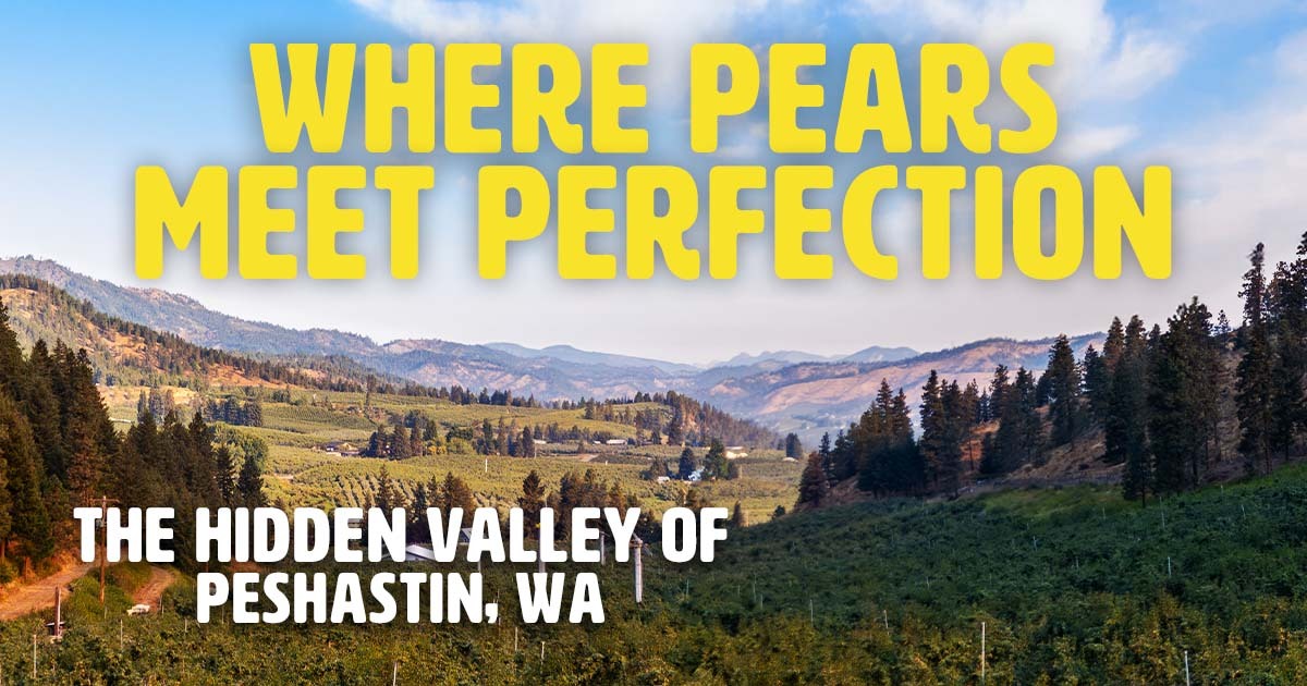 Why Peshastin, WA, Grows Some of the World's Best Pears - Superfresh ...