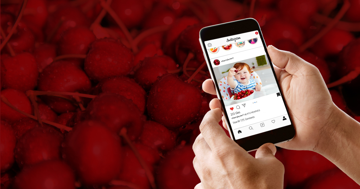 The Sweeten Up Your Summer Sweepstakes is Back! - Superfresh Growers The Sweeten Up Your Summer Sweepstakes is Back! - Superfresh Growers