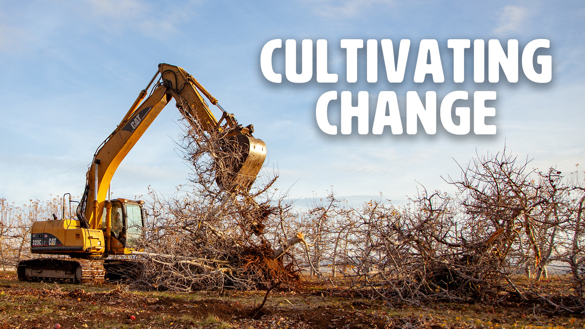 Cultivating Change: Part I - Superfresh Growers