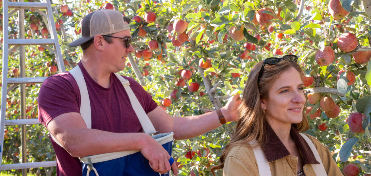 From Orchards to Tables: Meals She Eats Experiences the Magic of Autumn ...