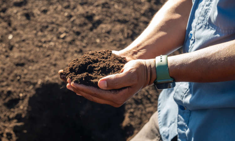 LARGE-SCALE Composting - Superfresh Growers