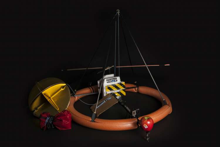 Autumn Glory Apple Floats to Space on Homemade Weather Balloon ...