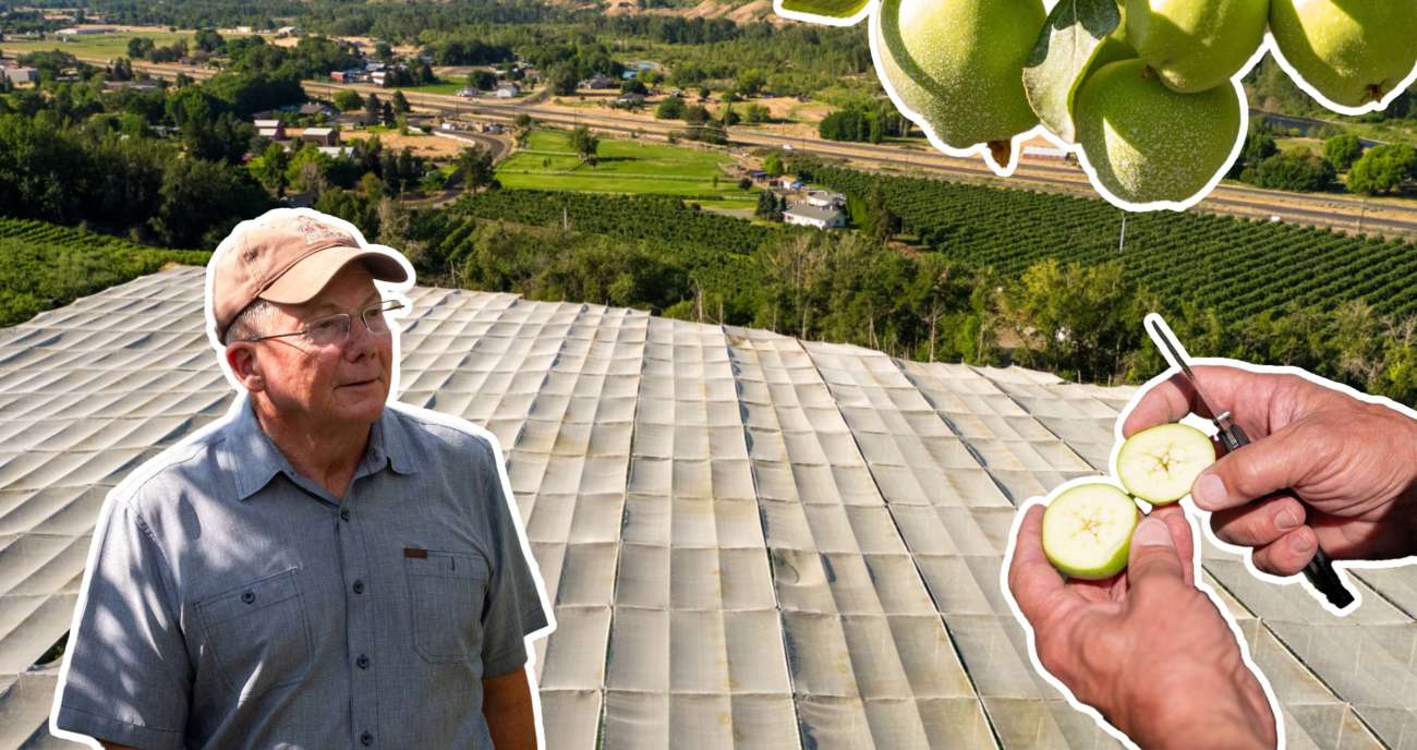 Organics - Superfresh Growers