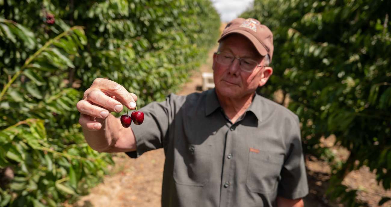 Organics - Superfresh Growers