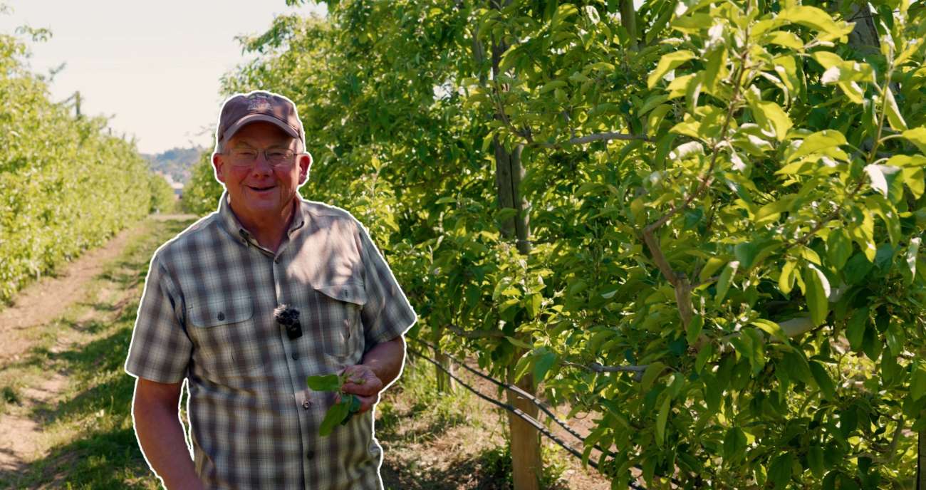 Organics - Superfresh Growers