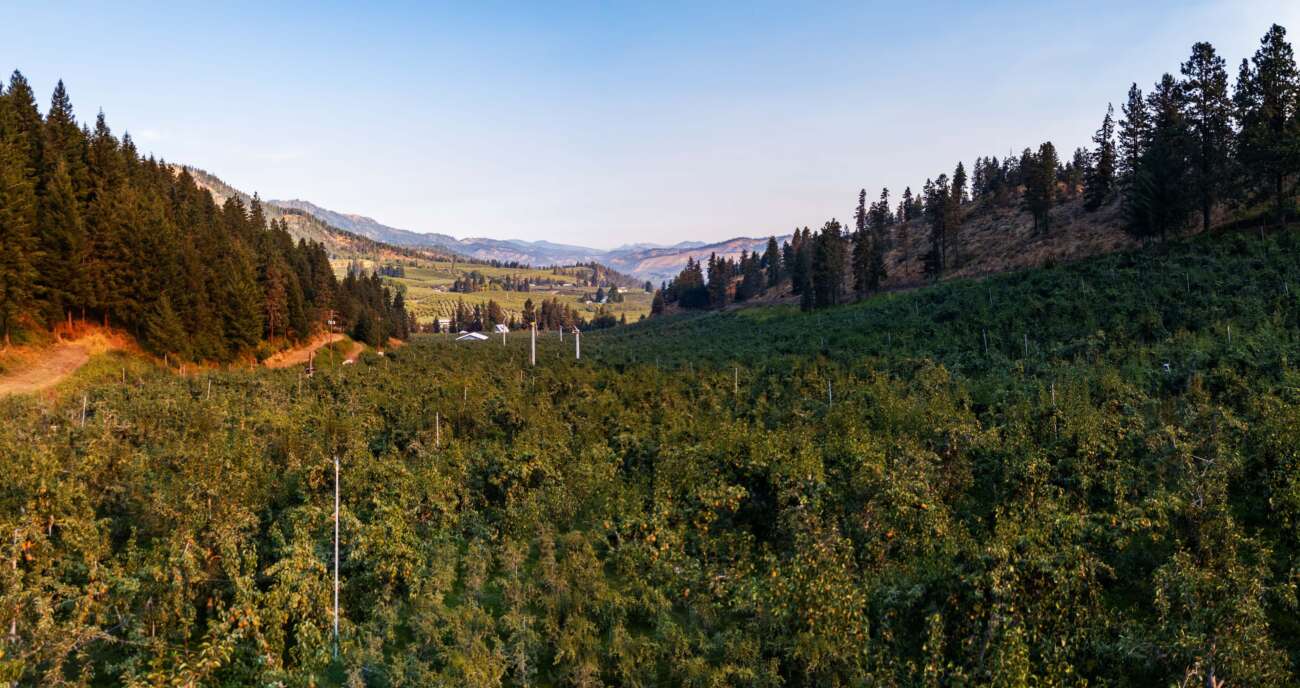 Why Peshastin, WA, Grows Some of the World's Best Pears - Superfresh ...