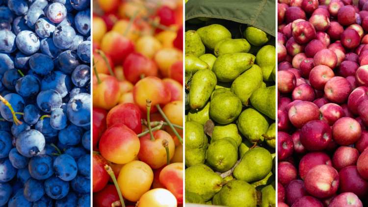 Organics - Superfresh Growers