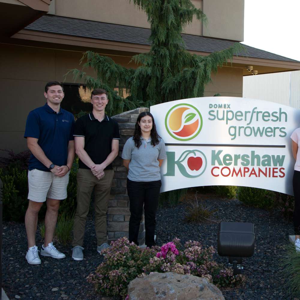 The Bite - Superfresh Growers