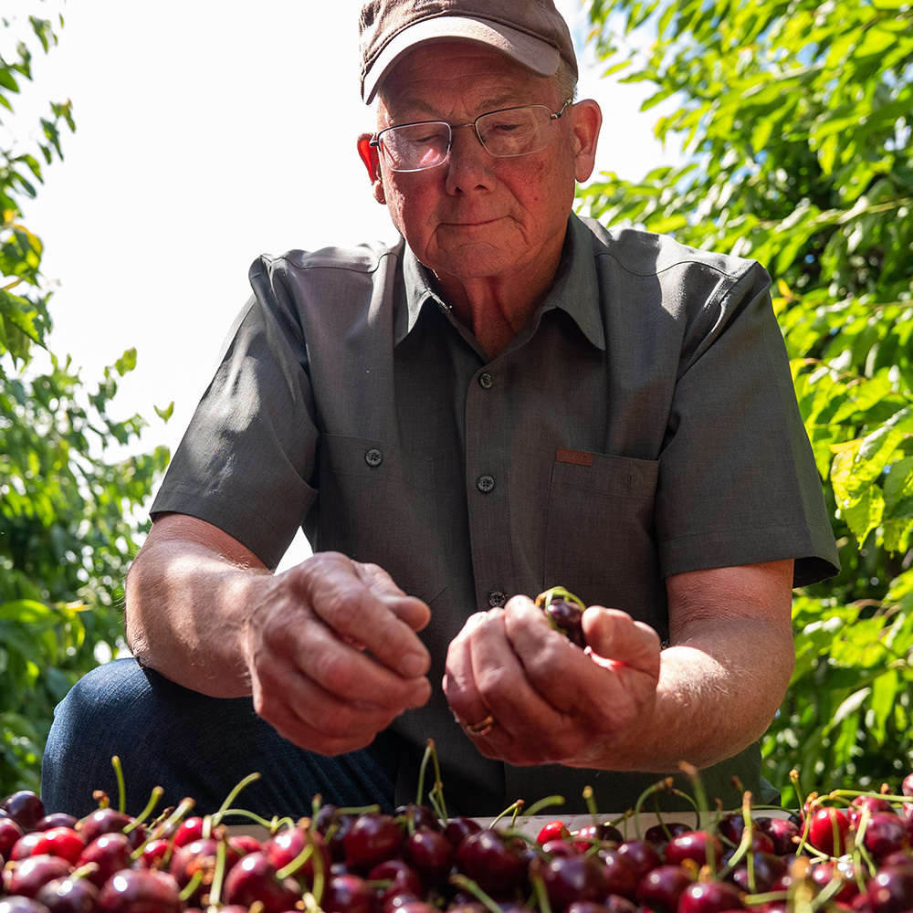 The Bite - Superfresh Growers